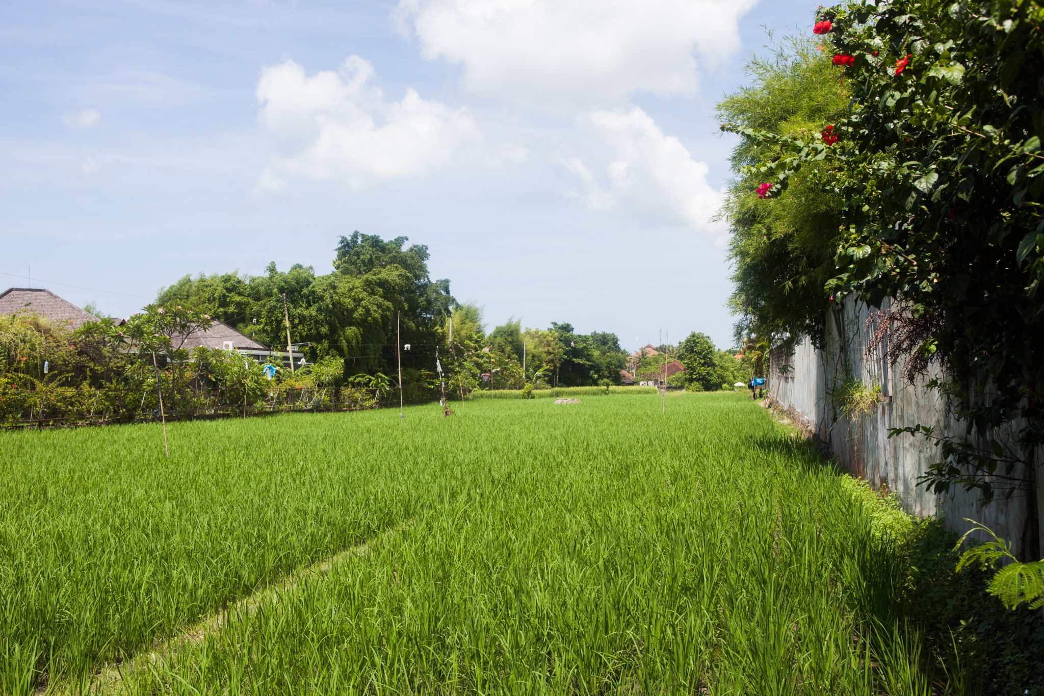 Things to Do – Rumah Raja