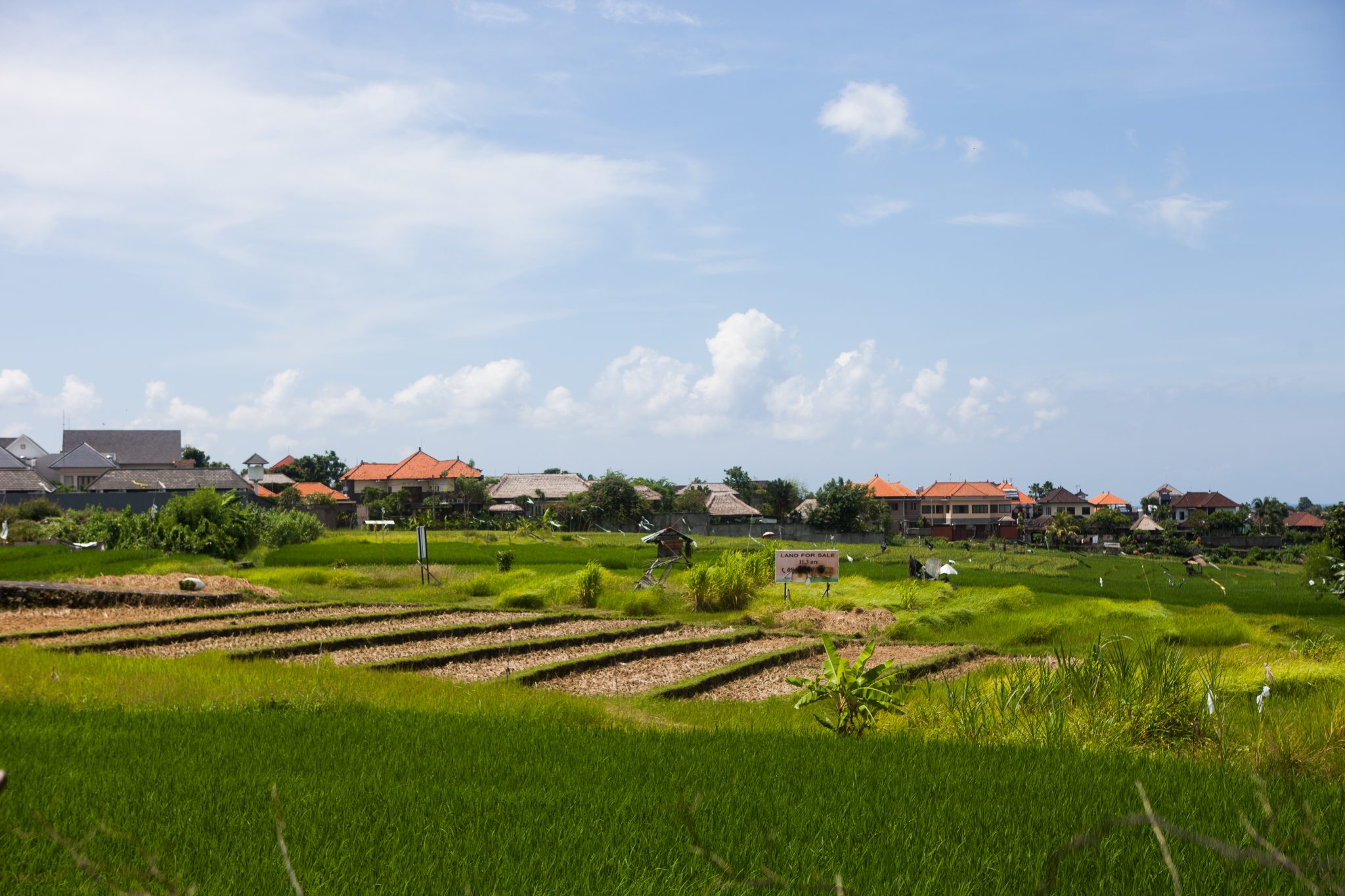 Surrounds and Attractions – Rumah Raja